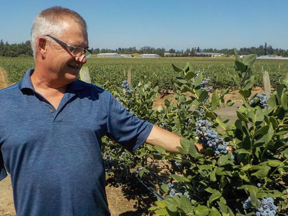 Gallery – South Alder Farms